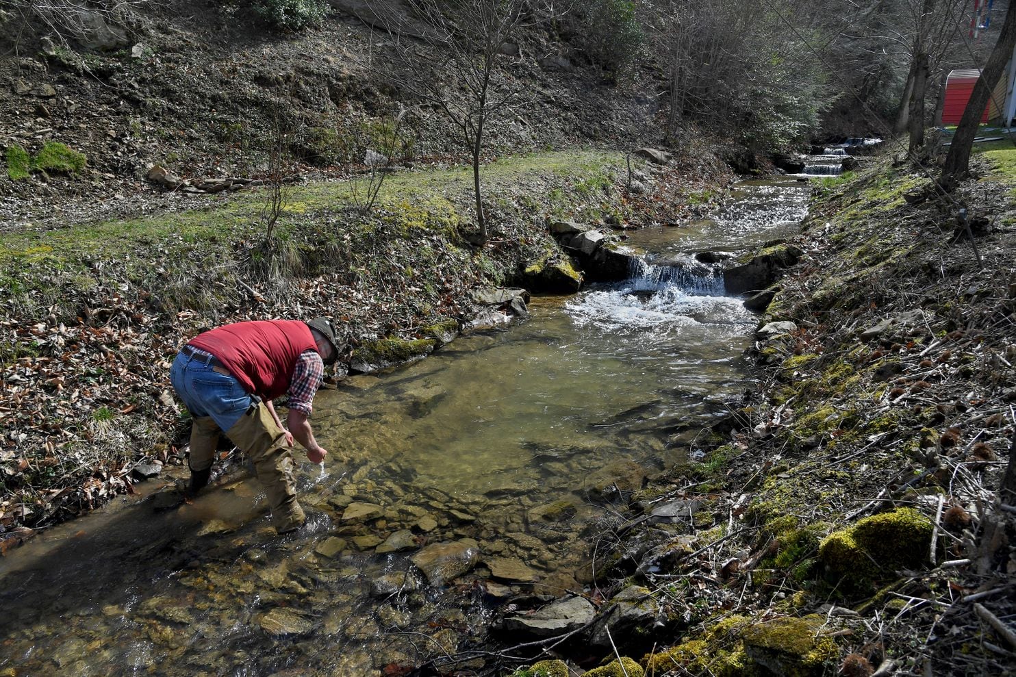 How the West Virginia coal industry changed federal endangered species ...